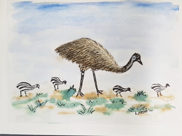 Card – Emu and Chicks – Major Eggs